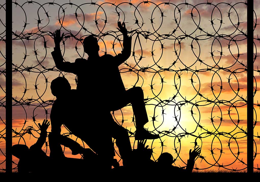 How Did Trump’s Policies Affect Border Crossings and Migrant Shelters ...