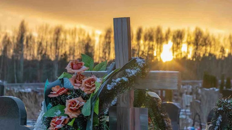 TREE CRUSHES Mother and Baby at Easter Hunt | Integrity Press